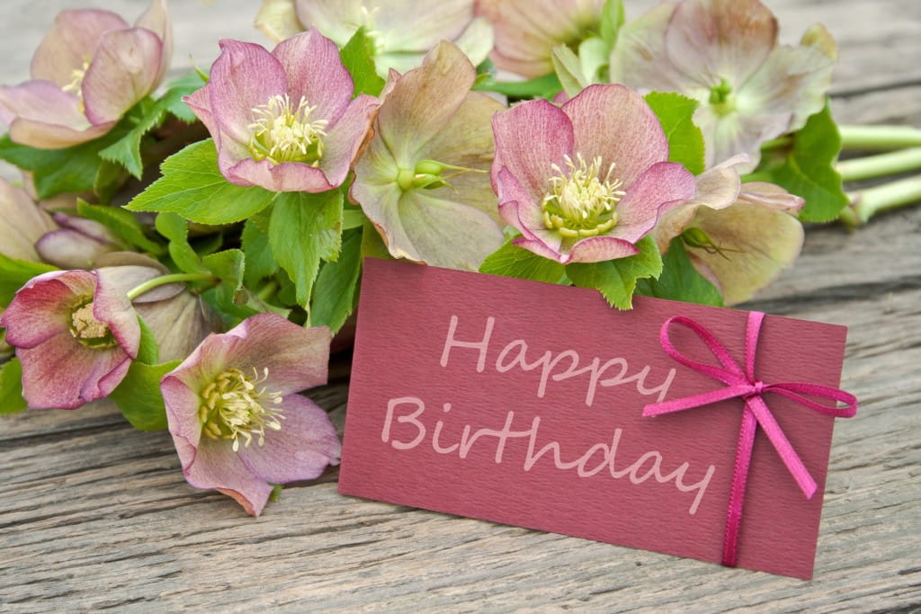 Birthday Messages For Flowers Home Alqu